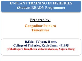 KUFOS and RAWE prgramme (In-Plant Training) | PPT