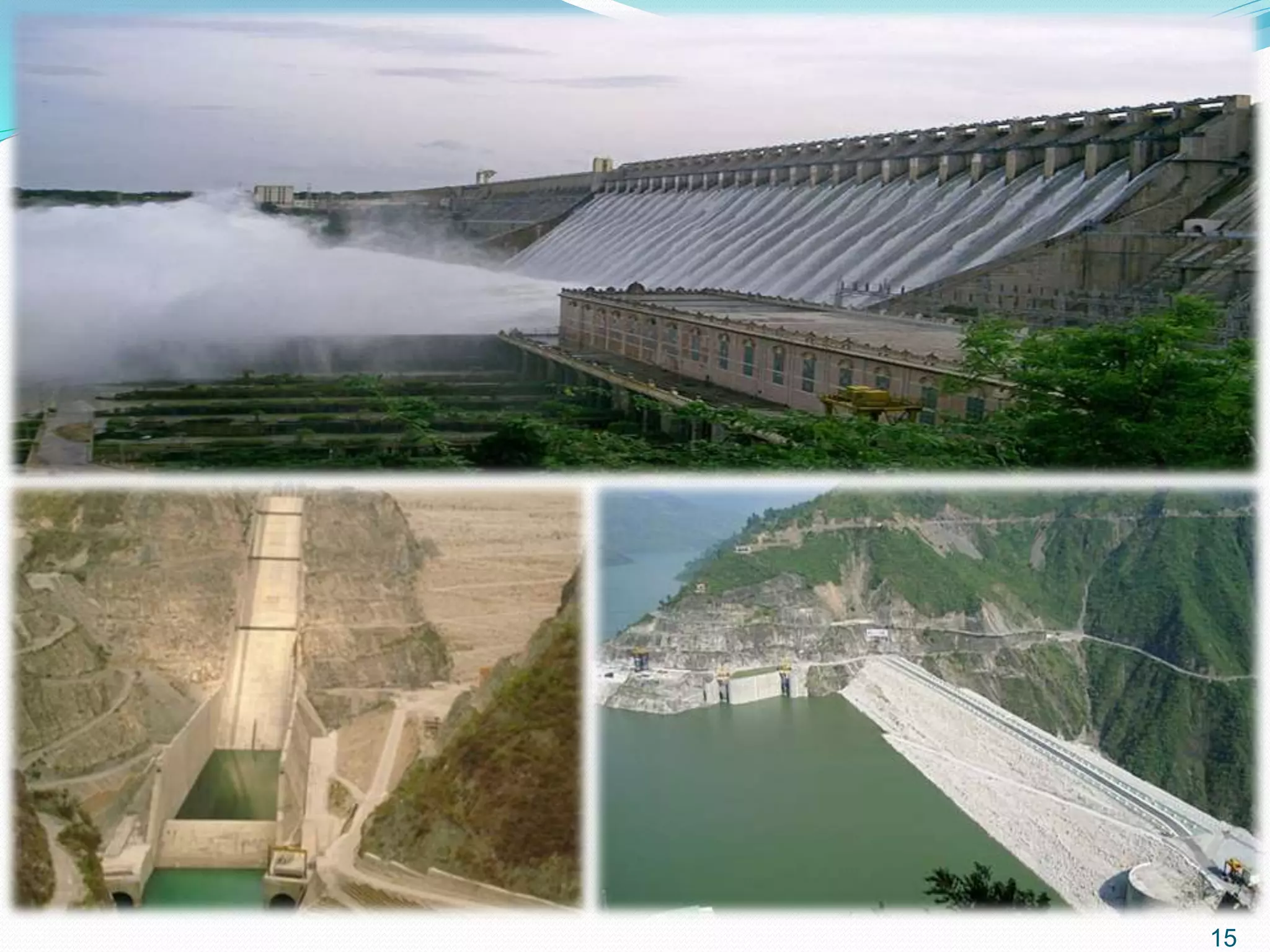 Ganga dolphin ,sameer | PPT