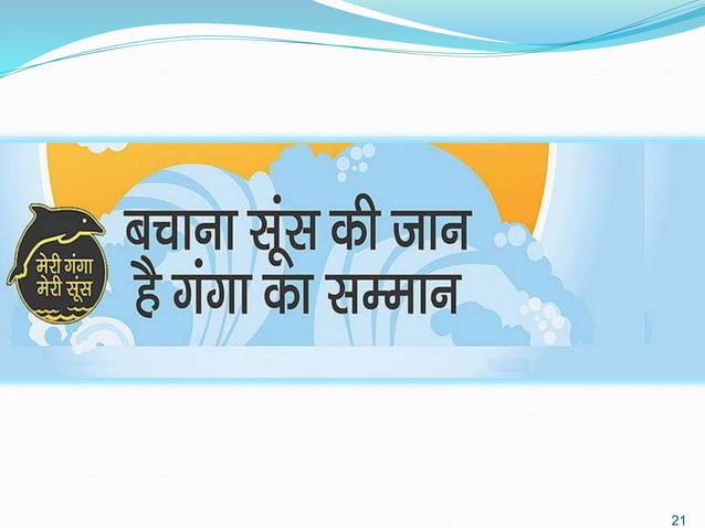Ganga dolphin ,sameer | PPT