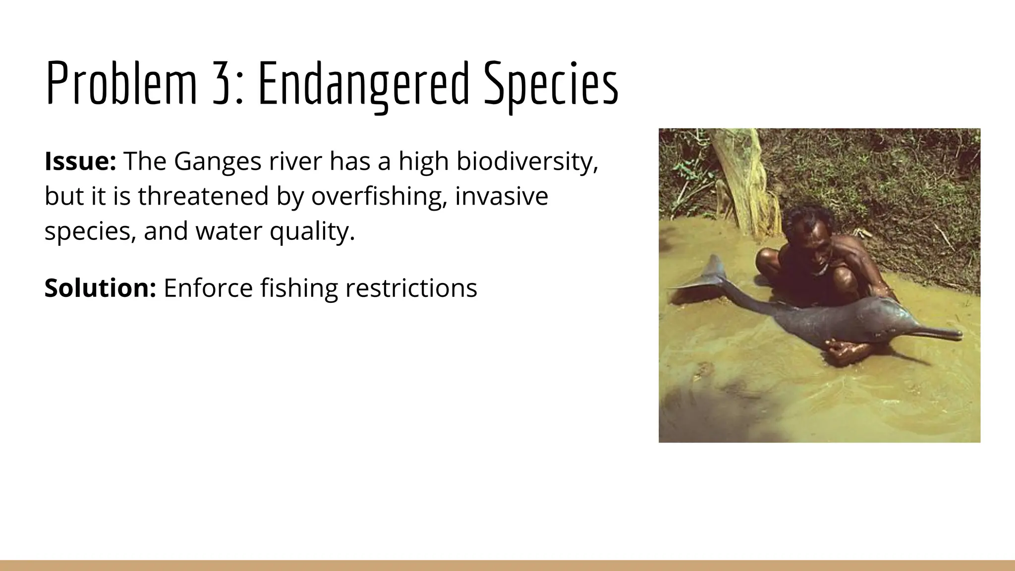 GANGES-Presentation GANGA BRAHMAPUTRA BASIN | PDF