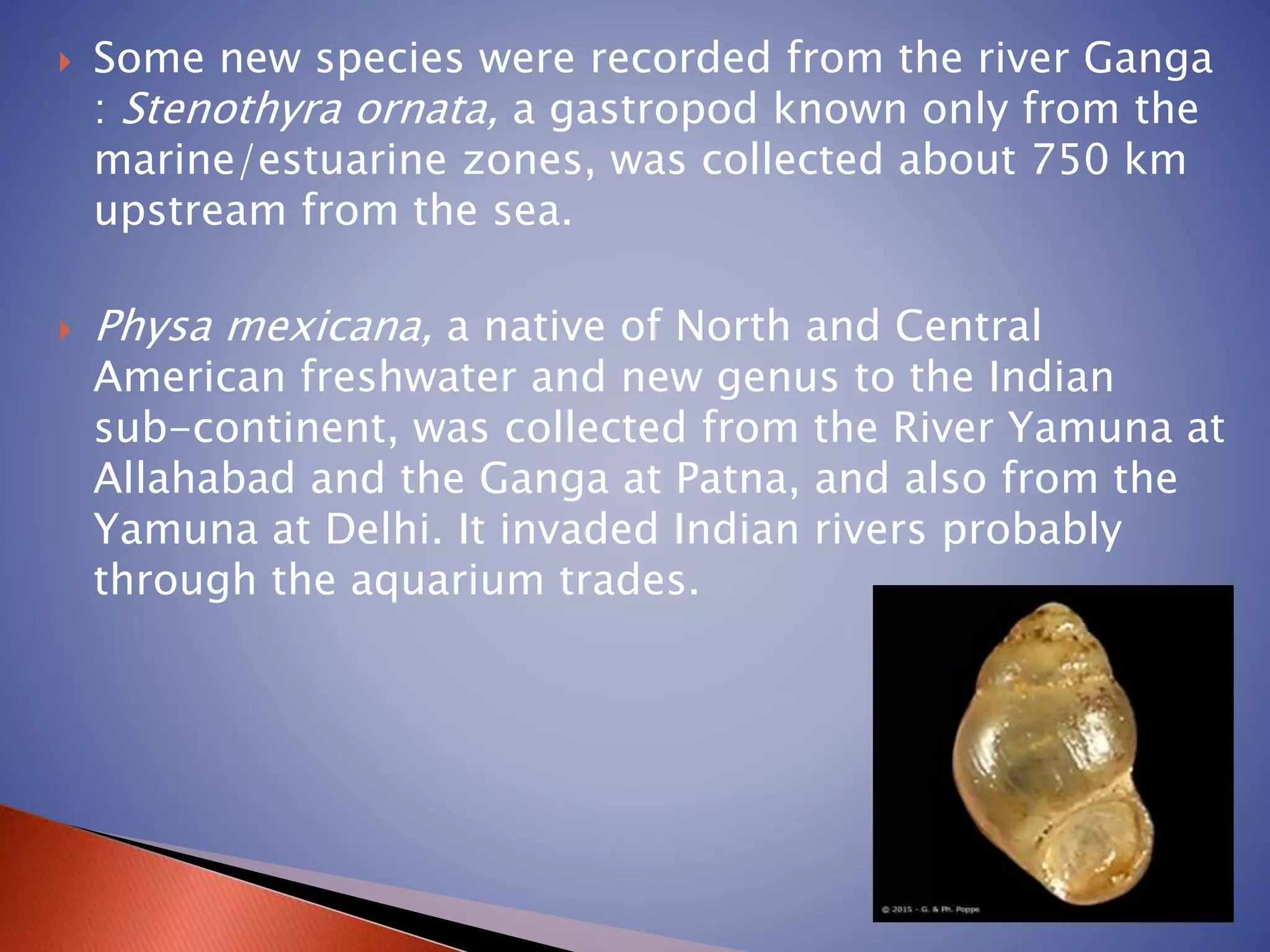 Gangetic ecosystem by govind baabu | PPTX