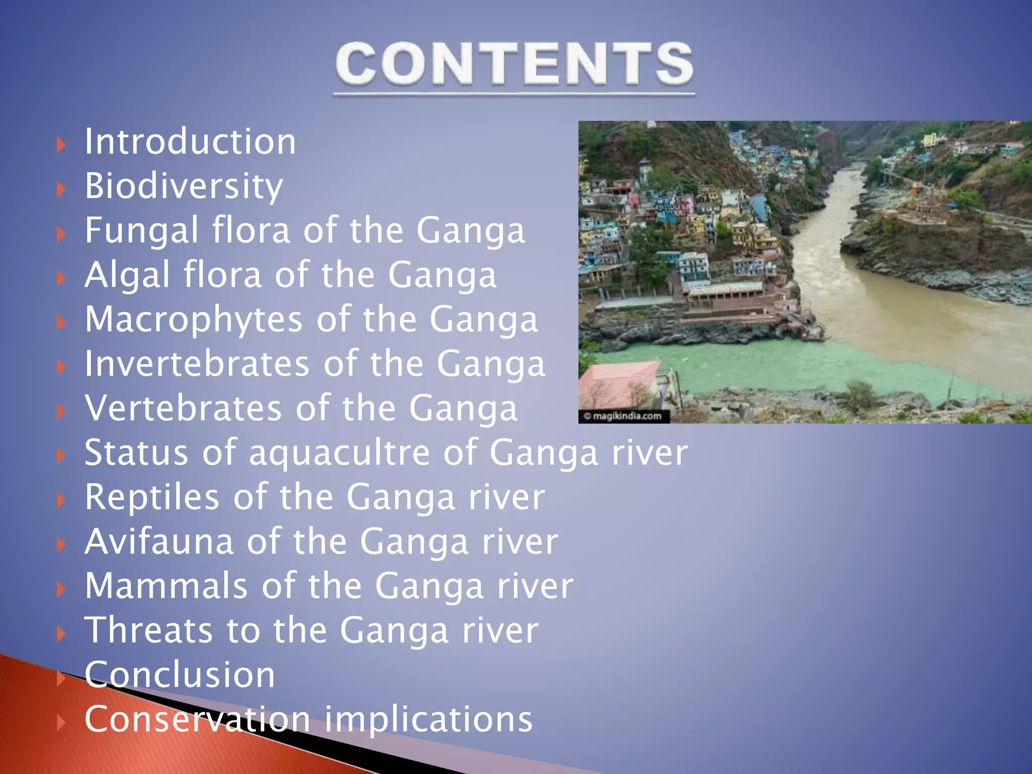 Gangetic ecosystem by govind baabu | PPTX