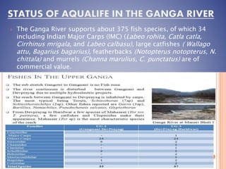 Gangetic ecosystem by govind baabu | PPTX