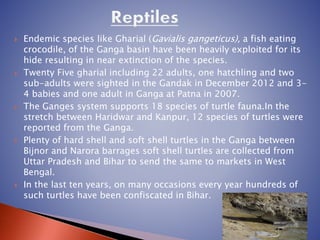 Gangetic ecosystem by govind baabu | PPT