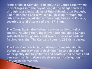 Gangetic ecosystem by govind baabu | PPT