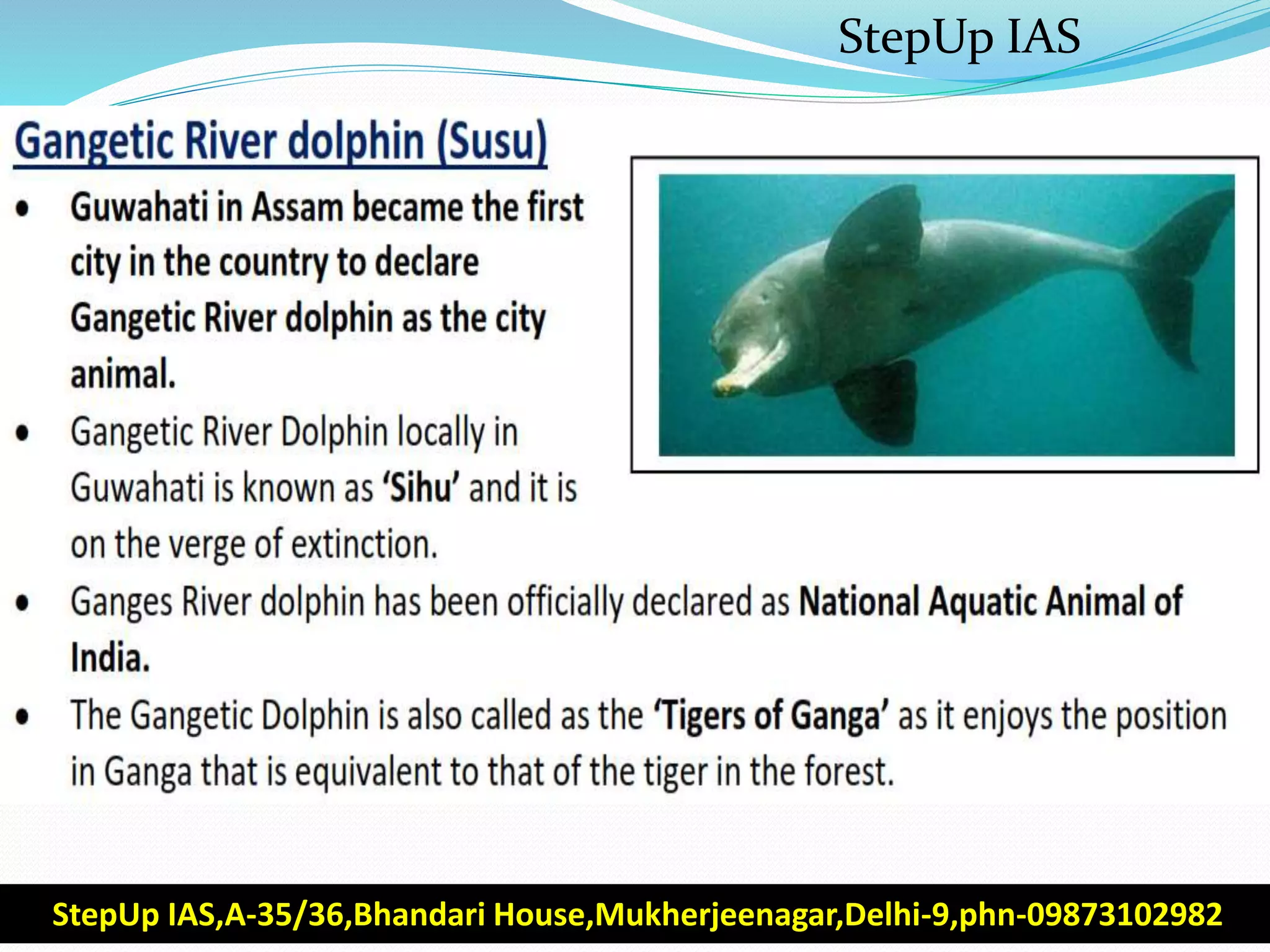 Gangetic river dolphin | PPTX