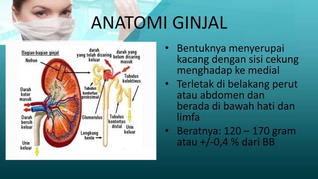 GANGGUAN FUNGSI GINJAL KEPERAWATAN MEDIKAL BEDAH .pptx