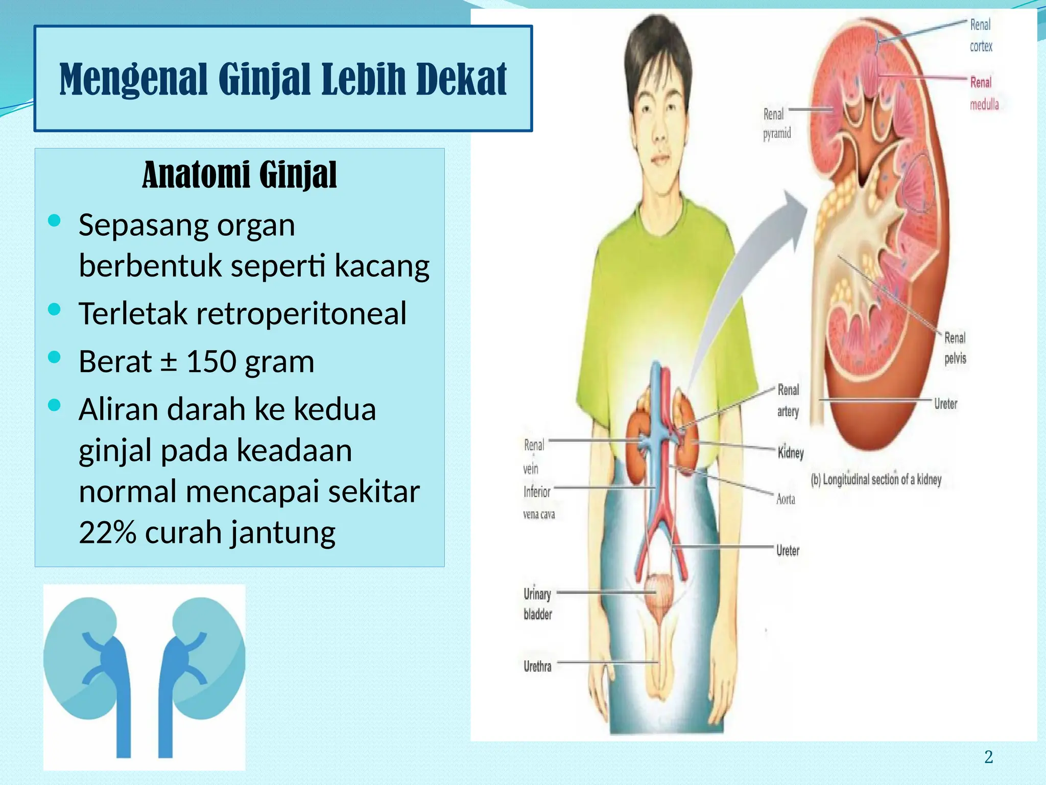Gangguan Ginjal Akut Pada Anak (Acute renal failure in children) | PPTX