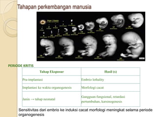 Gangguan perkembangan Janin | PPTX