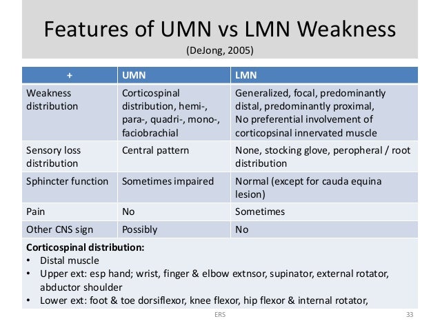 Gangguan motorik, appetizer ;)