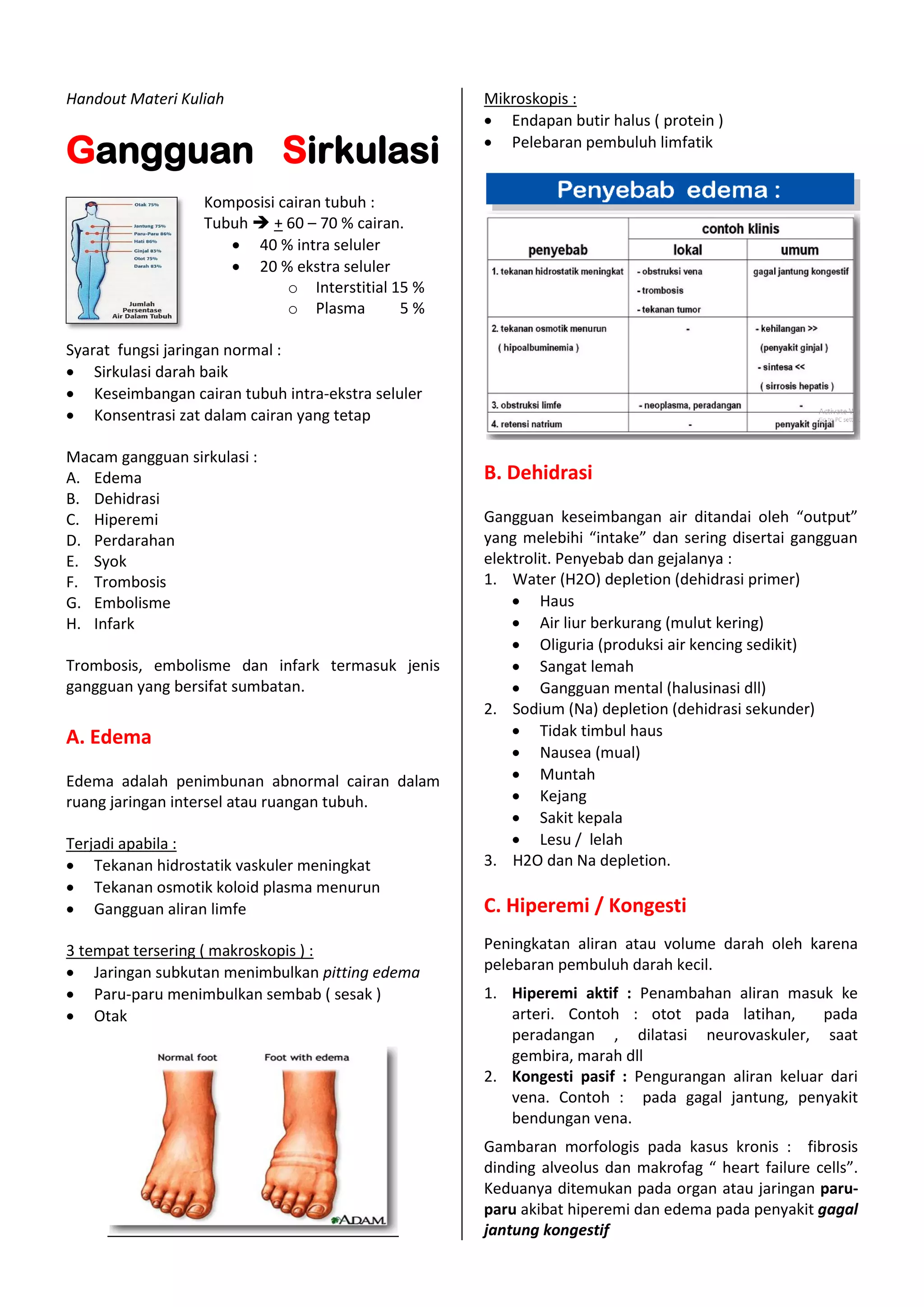 Gangguan Sirkulasi.pdf