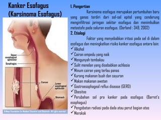 Gangguan Sistem Pencernaan............... | PPT