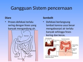 Gangguan Sistem Pencernaan............... | PPT
