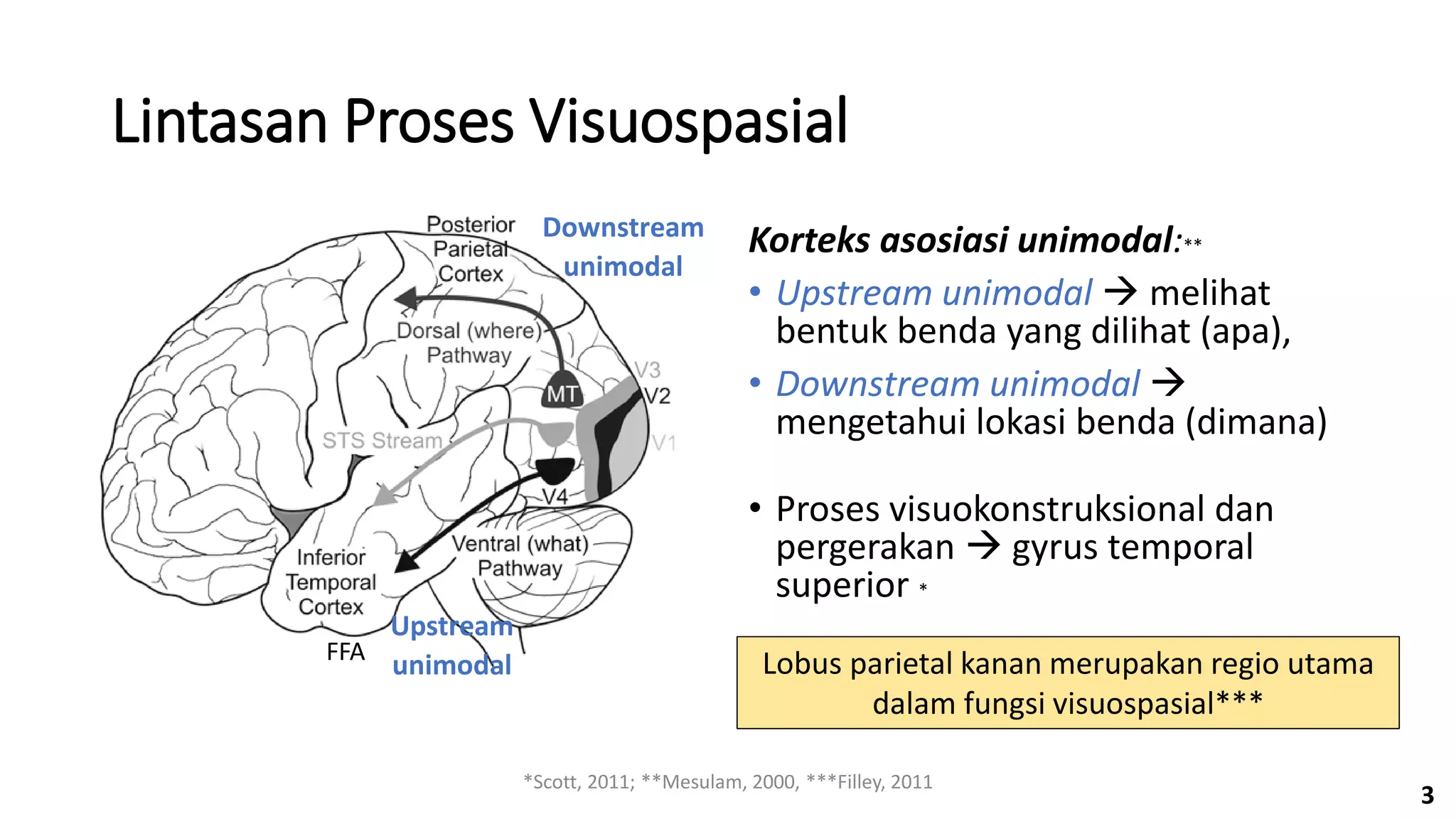 Gangguan visuospasial vit | PDF