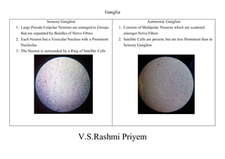 Histology of Ganglia | DOCX