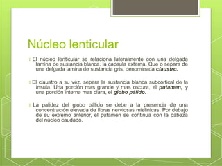 GANGLIO BASE. NEUROLOGIA. CEREBRO. POSGRADO | PPTX