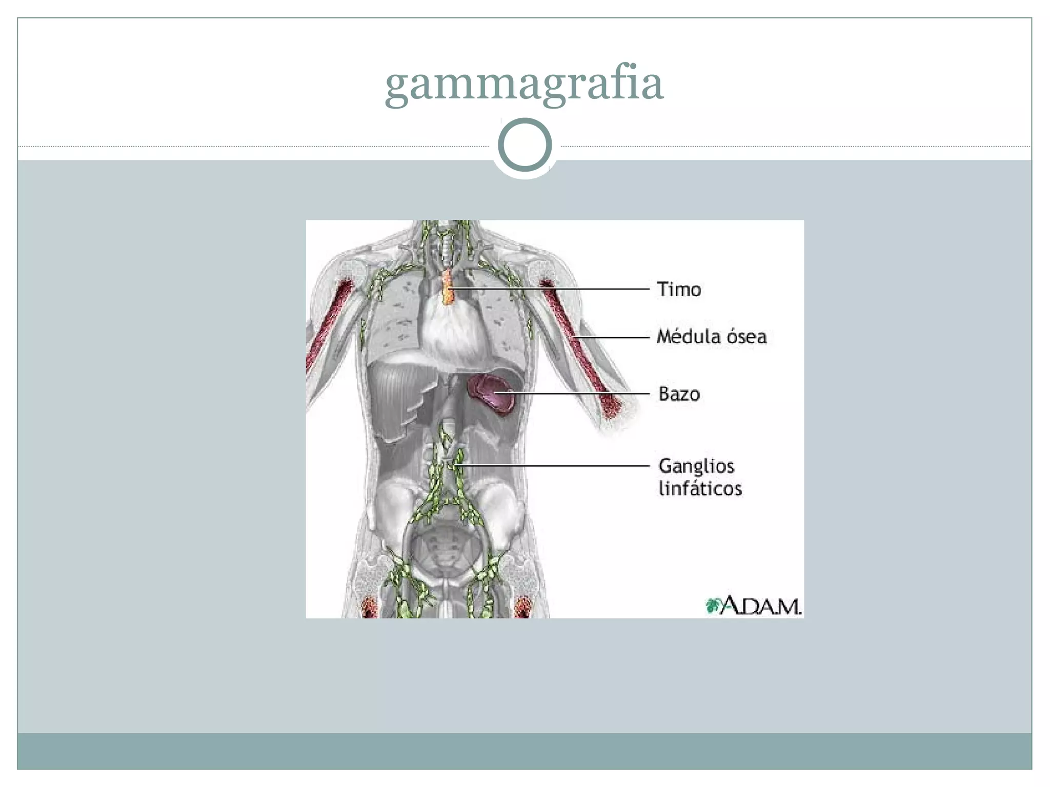 Ganglio centinela en cacu | PPT