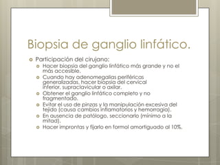 Ganglio linfático. | PPTX