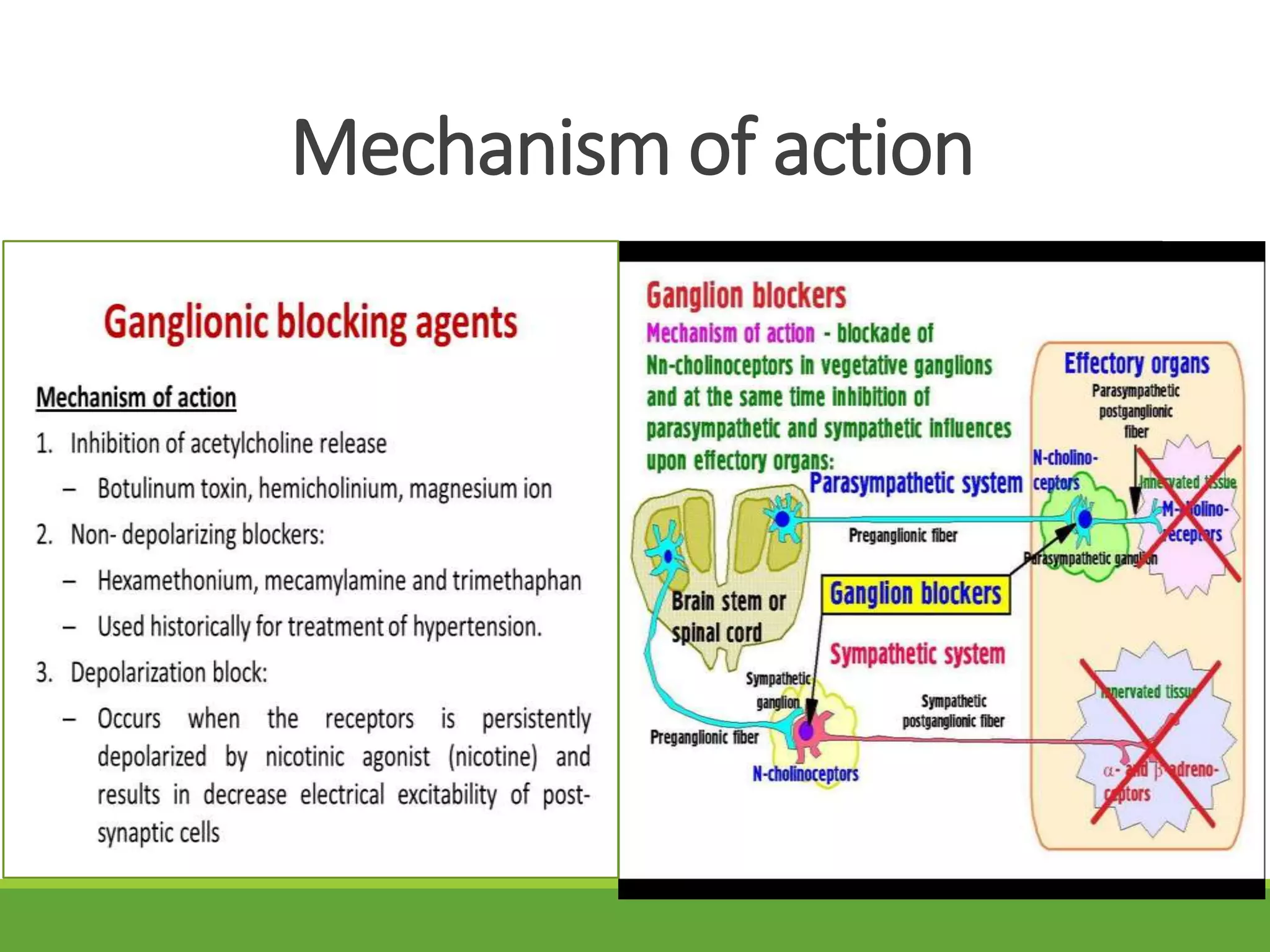 Ganglion stimulants and blocking agents | PPTX