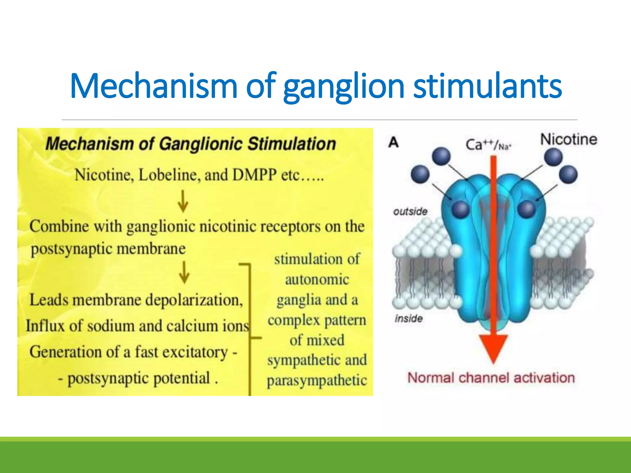 Ganglion stimulants and blocking agents | PPTX