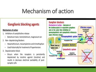 Ganglion stimulants and blocking agents | PPTX