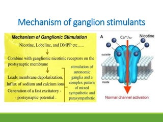 Ganglion stimulants and blocking agents | PPTX