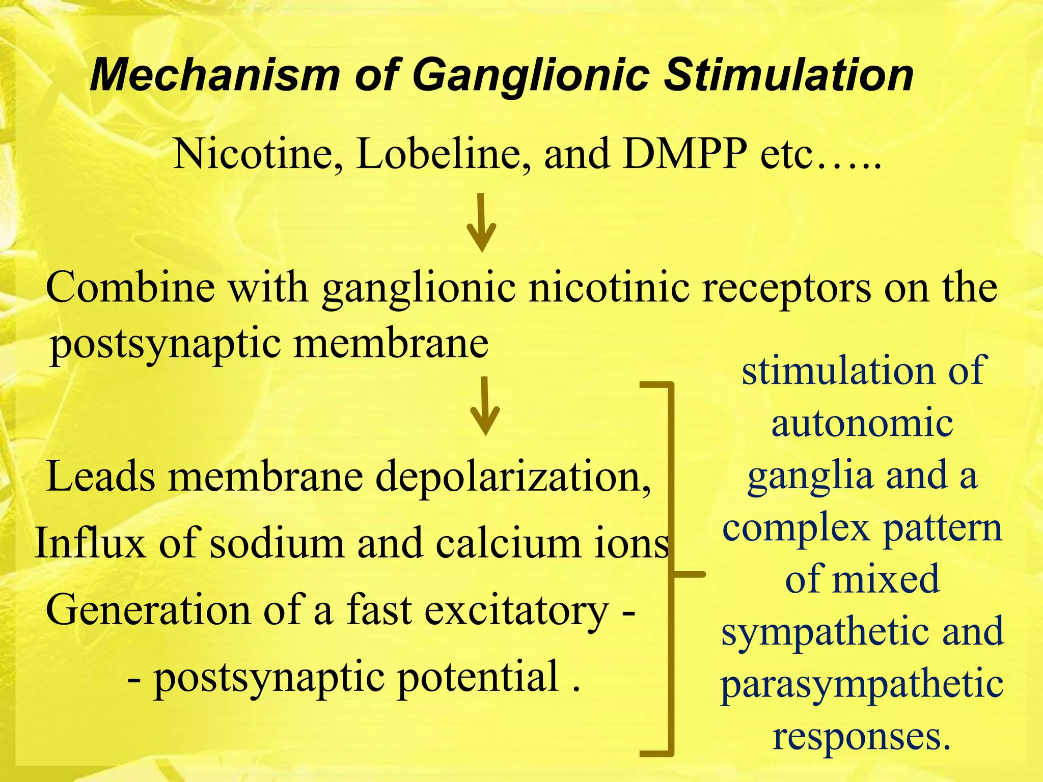Ganglionic stimulants and blockers suffi | PPTX