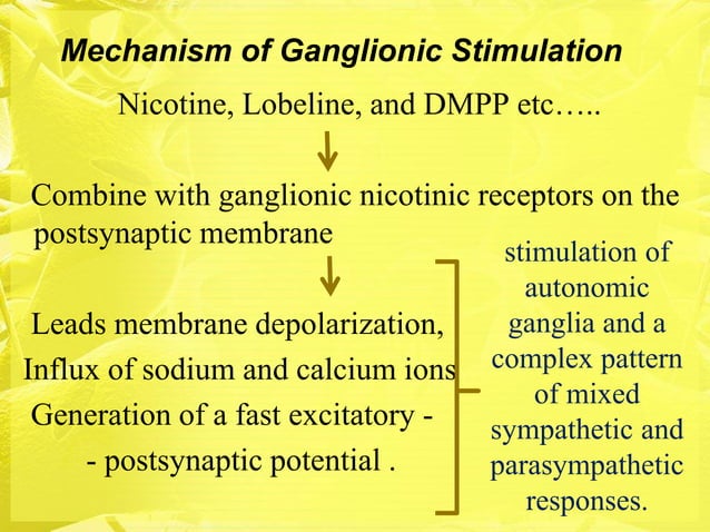Ganglionic stimulants and blockers suffi | PPTX