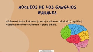 Ganglios basales anatomia madi smdbd ddd | PDF