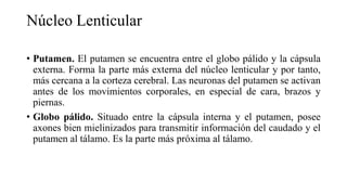 Ganglios 3 | PPTX