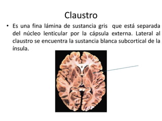 Ganglios basales, enfermedad de huntington y parkinson | PPTX