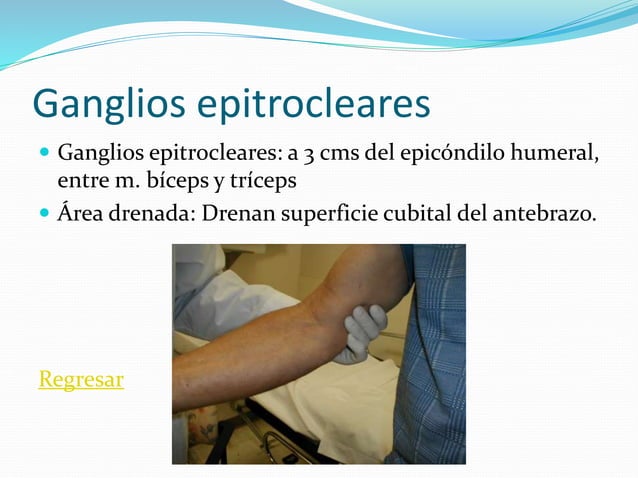 Ganglios linfáticos | PPTX