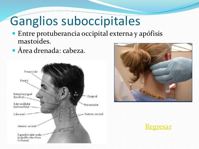 Ganglios linfáticos