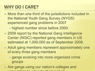 Gang member undergrads what are gang members doing in our colleges and ...