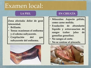 Gangrena gaseosa | PDF