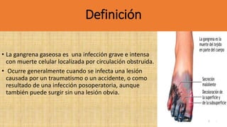 Gangrena gaseosa slideshare | PPTX