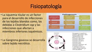 Gangrena gaseosa slideshare | PPTX