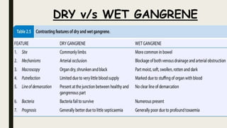 CELL INJURY-II Gangrene | PPT