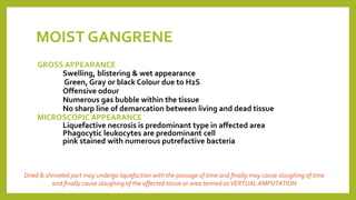 Gangrene | PPTX