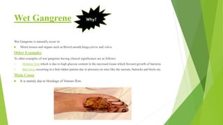 Gangrene.pptx