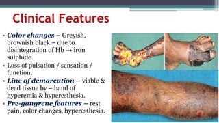 Arterial Diseases - Diabetic Foot - PDF | PDF