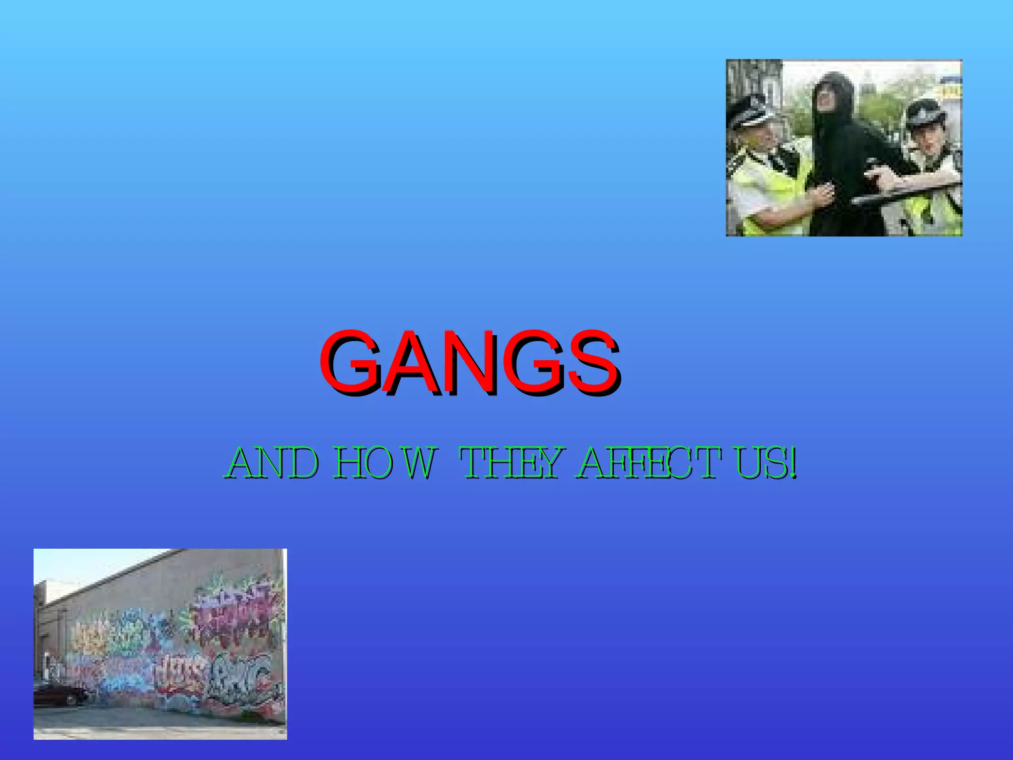 Gangs | PPT