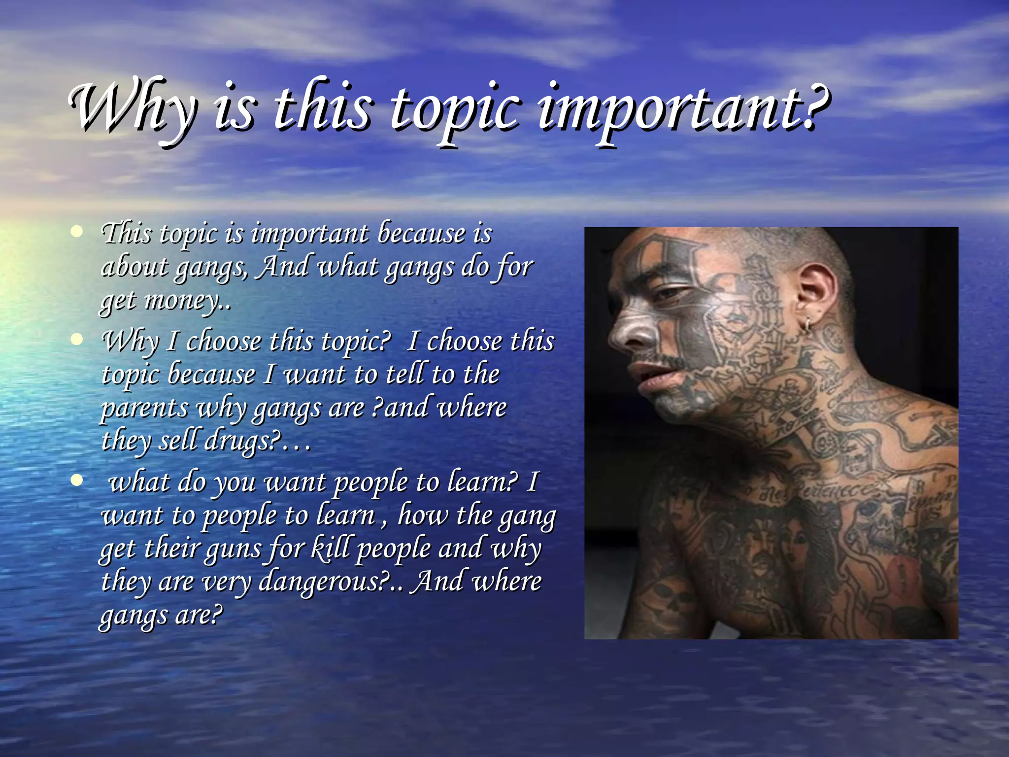 Gangs By 8th Grader | PPT