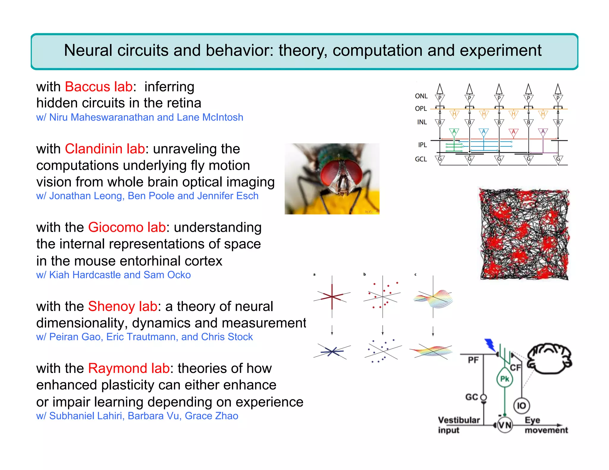 Theoretical Neuroscience and Deep Learning Theory | PDF