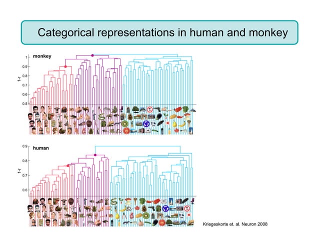 Theoretical Neuroscience and Deep Learning Theory | PPT