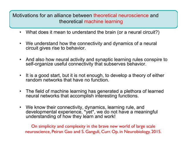 Theoretical Neuroscience and Deep Learning Theory | PPT