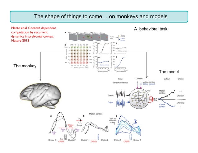 Theoretical Neuroscience and Deep Learning Theory | PPT