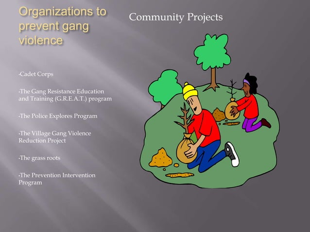 Gang violence in our neighborhoods, (what | PPT