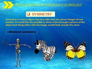 Interdisciplinary approach in mathematics | PPTX