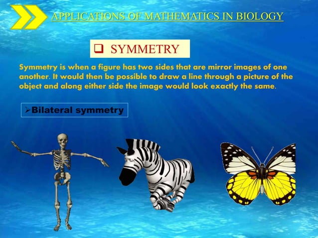 Interdisciplinary approach in mathematics | PPT Interdisciplinary approach in mathematics | PPT
